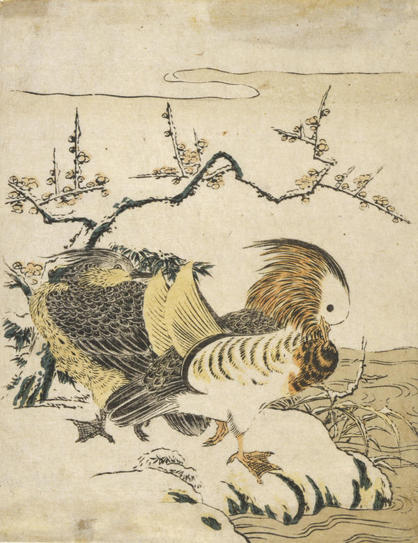 Japanese Bird and Flower Prints | RISD Museum