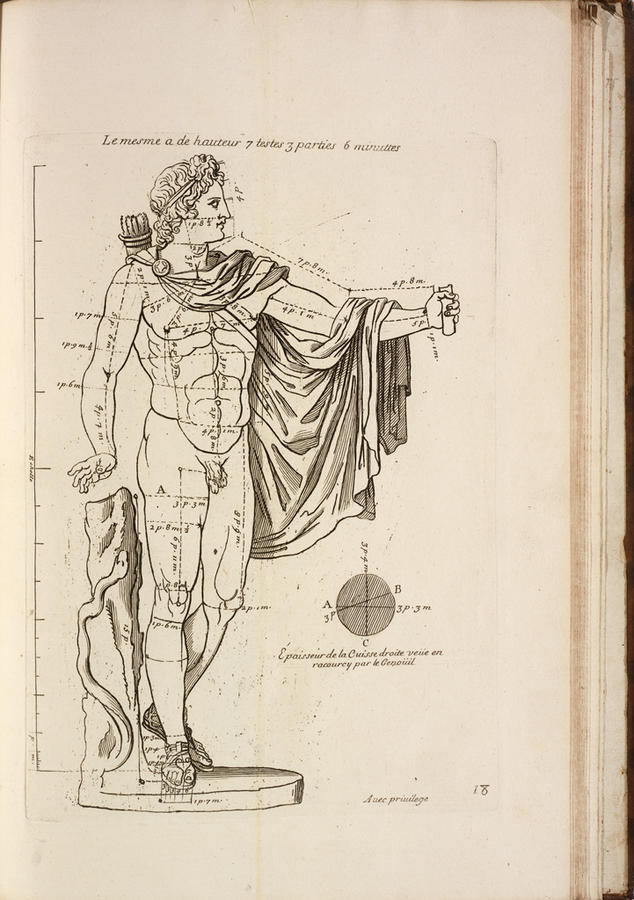 Les Proportions du Corps Humain mesurées sur les plus belles Figures de ...