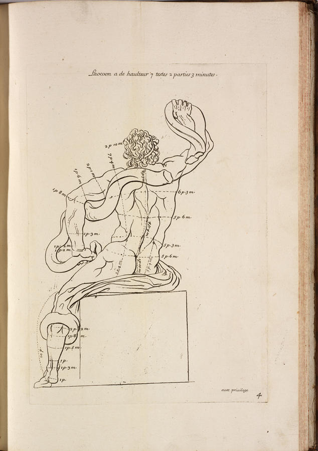 Les Proportions du Corps Humain mesurées sur les plus belles Figures de ...