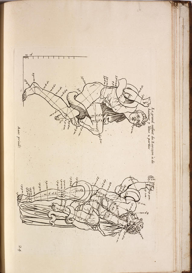 Les Proportions du Corps Humain mesurées sur les plus belles Figures de ...