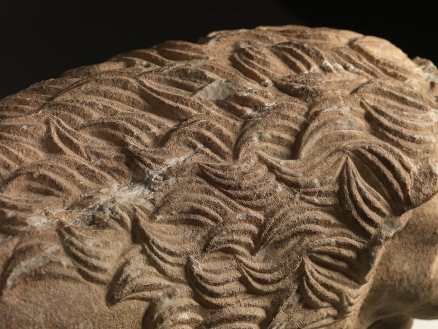 Funerary Lion | RISD Museum