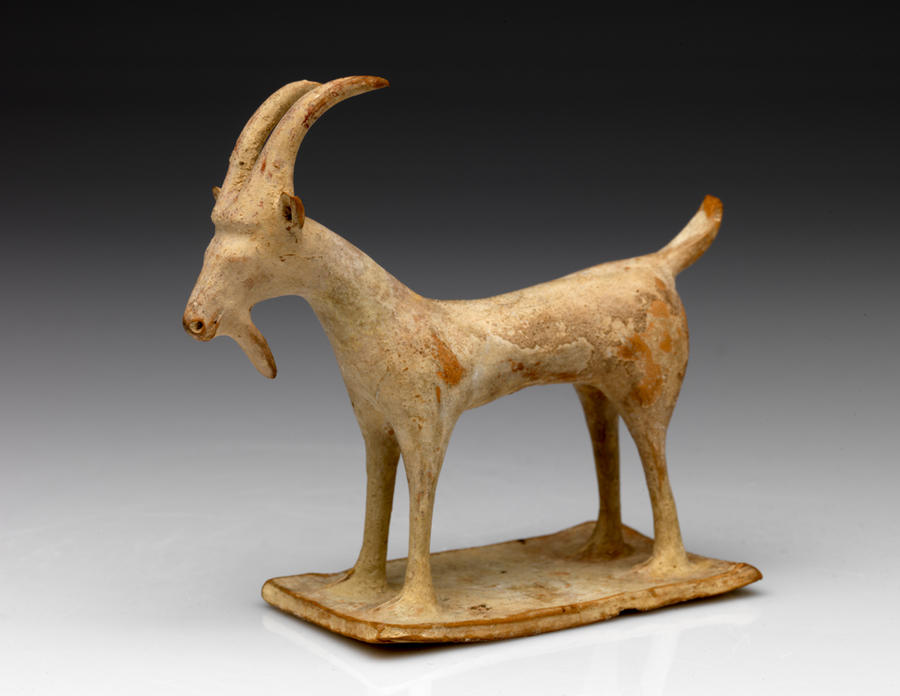 Goat | RISD Museum