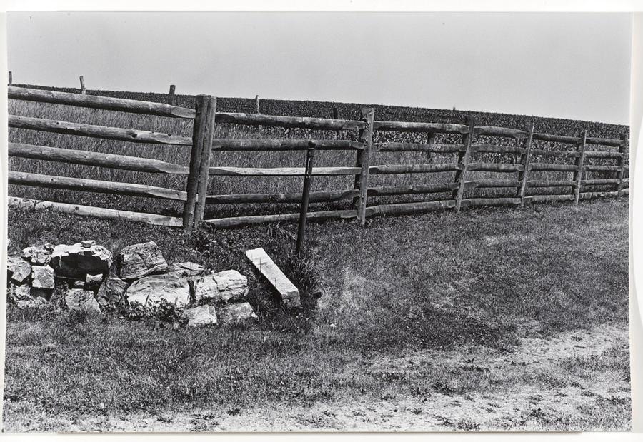 Bloody Lane, The Battle of Antietam | RISD Museum