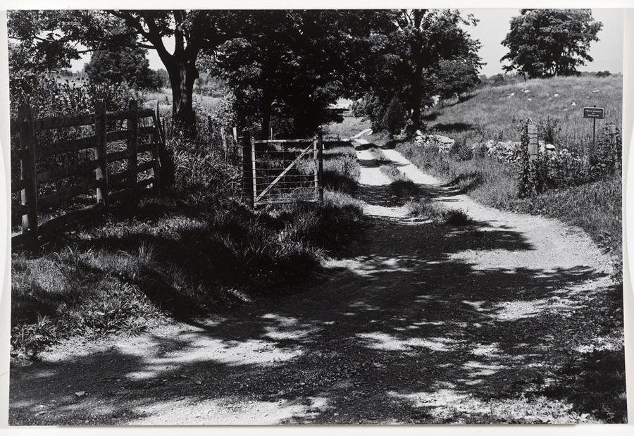 Bloody Lane, The Battle of Antietam | RISD Museum