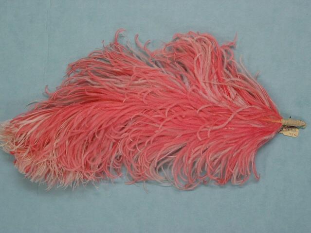 Millinery feather trim | RISD Museum
