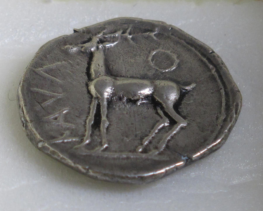 Didrachm | RISD Museum