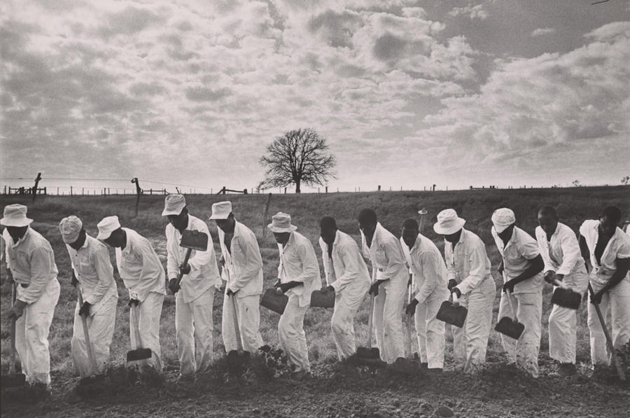 The Line, Ferguson Unit, Texas | RISD Museum