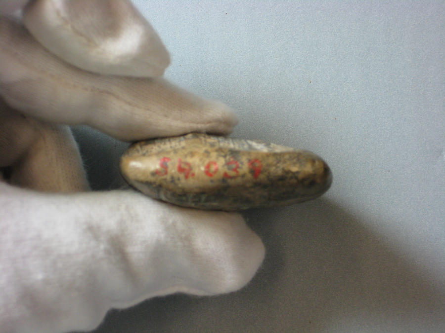 Cuniform Tablet | RISD Museum