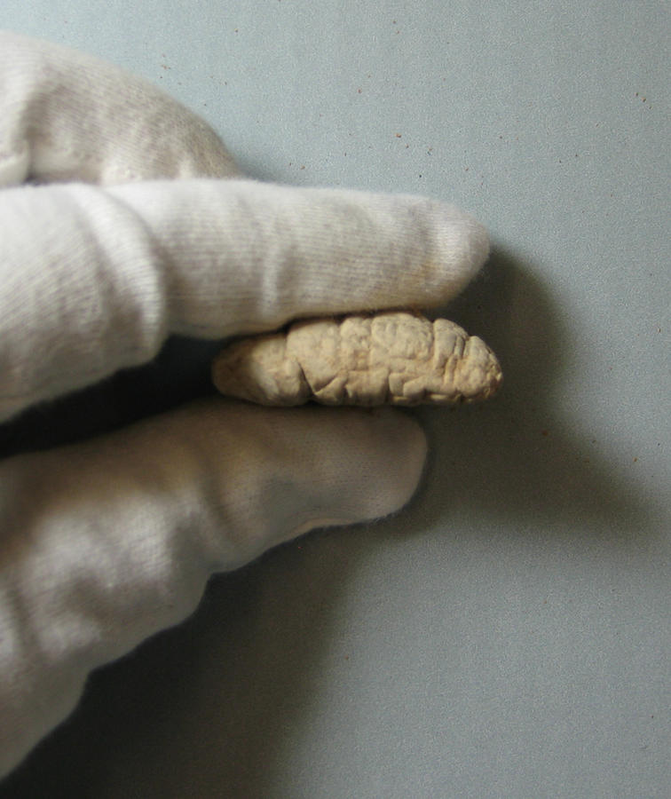 Cuniform Tablet | RISD Museum