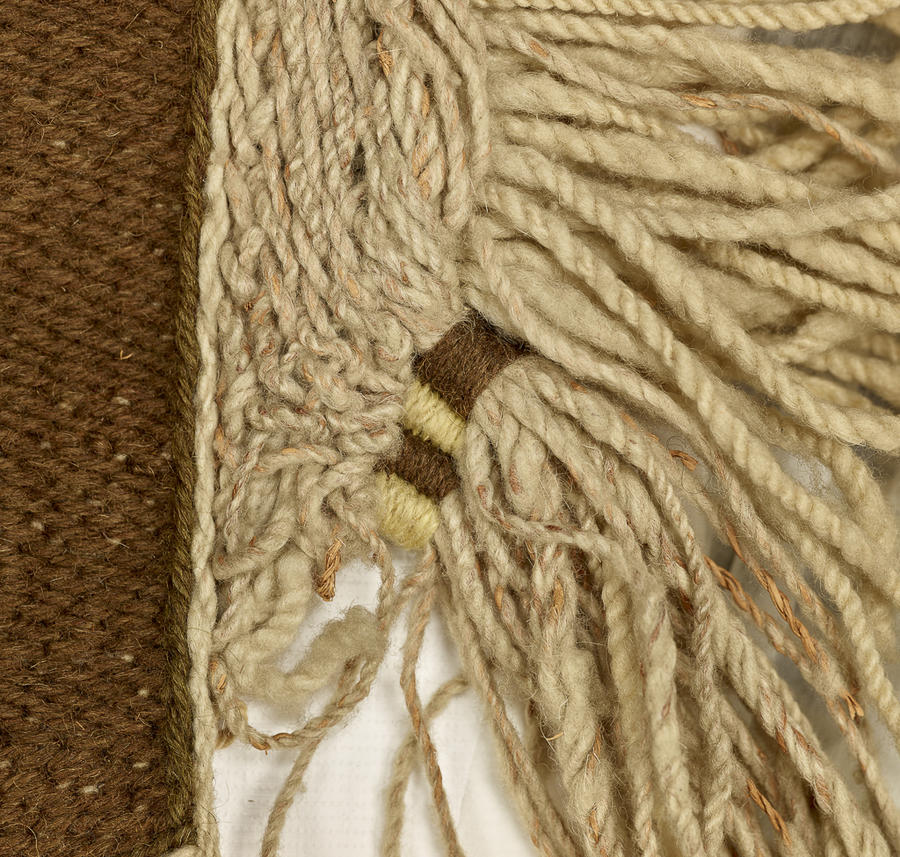 Chilkat robe | RISD Museum