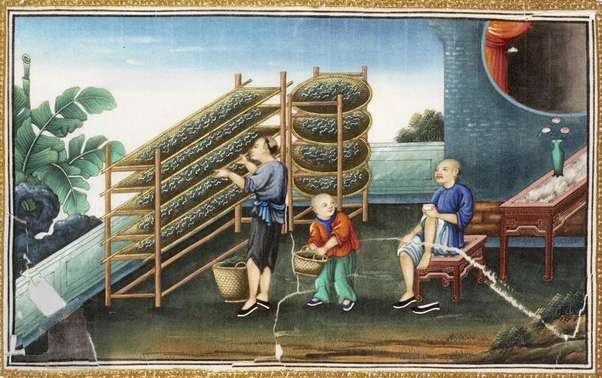 Sericulture: Feeding the Silkworms | RISD Museum