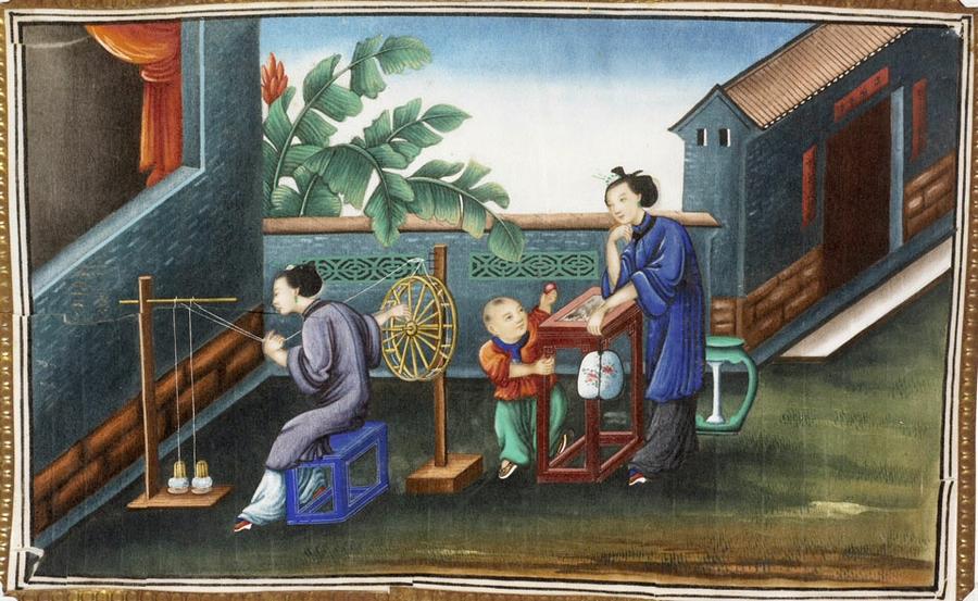 Sericulture: Spinning Silk Thread | RISD Museum