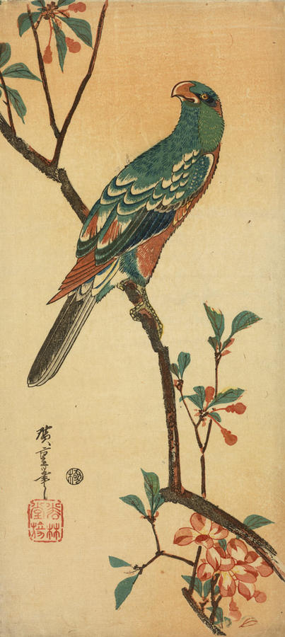 Parrot on a Flowering Branch (Kaidô ni inko) | RISD Museum